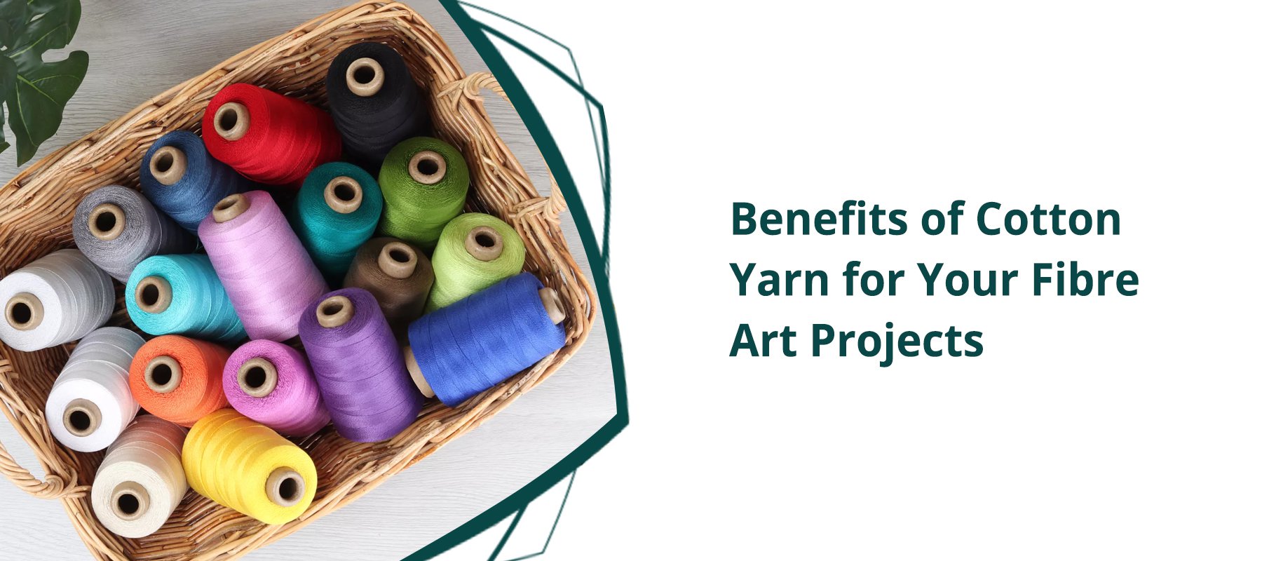Why Cotton Yarn is a Maker’s Essential Fibre | Thread Collective