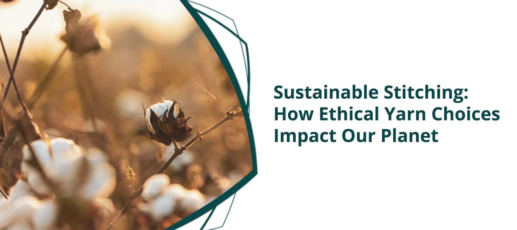 Ethical Yarn Choices: Sustainable Stitching Impact – Thread Collective