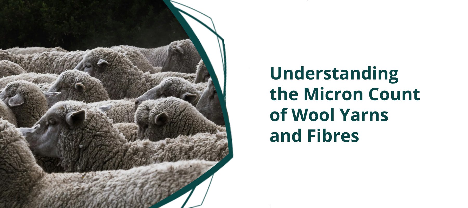 Wool Yarns & Fibres: Understanding Micron Count – Thread Collective