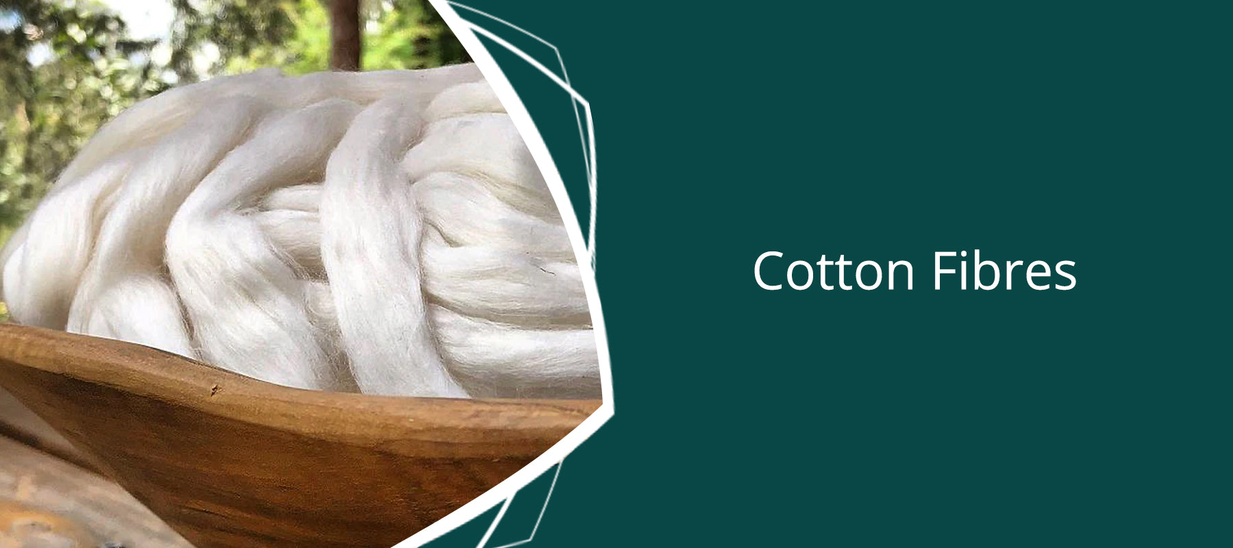 Cotton Fibres | Thread Collective Australia