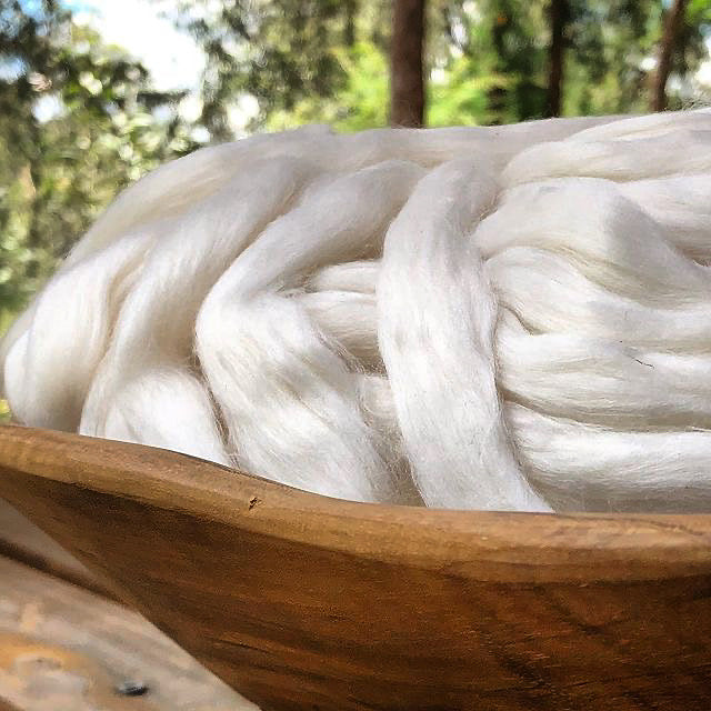 Australian Cotton - Silky Carded Roving / Sliver | Thread Collective